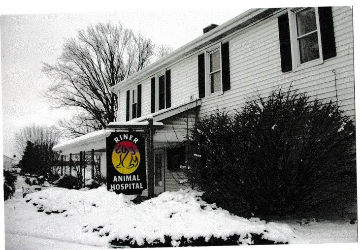 Riner Animal Hospital