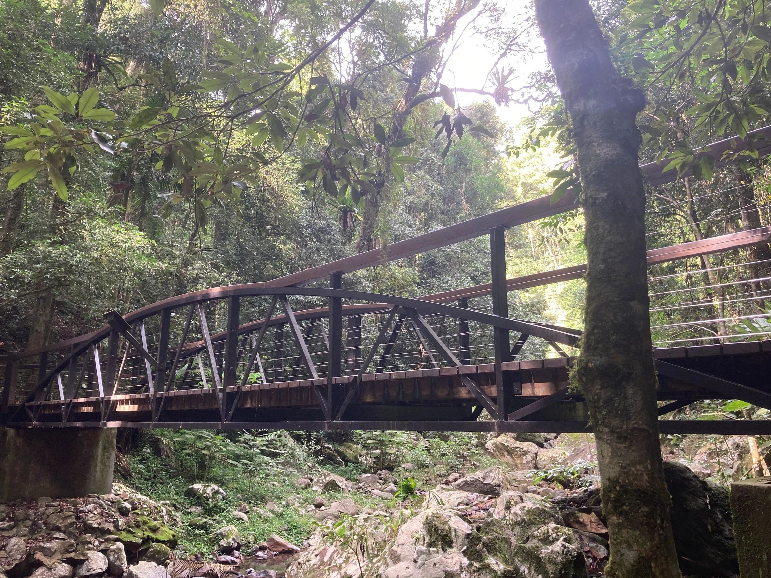 The Bridge Hub Collective