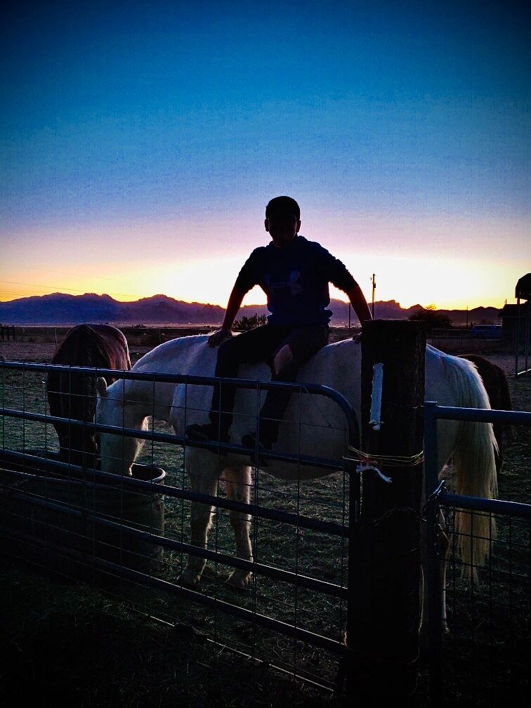 TwoFeathersRanchhorserescue.com