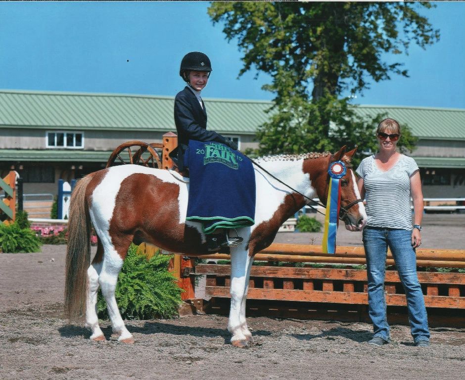 Home Page [www.brookfieldstablesny.com]