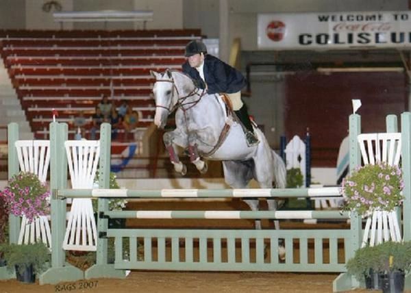 Home Page [www.brookfieldstablesny.com]