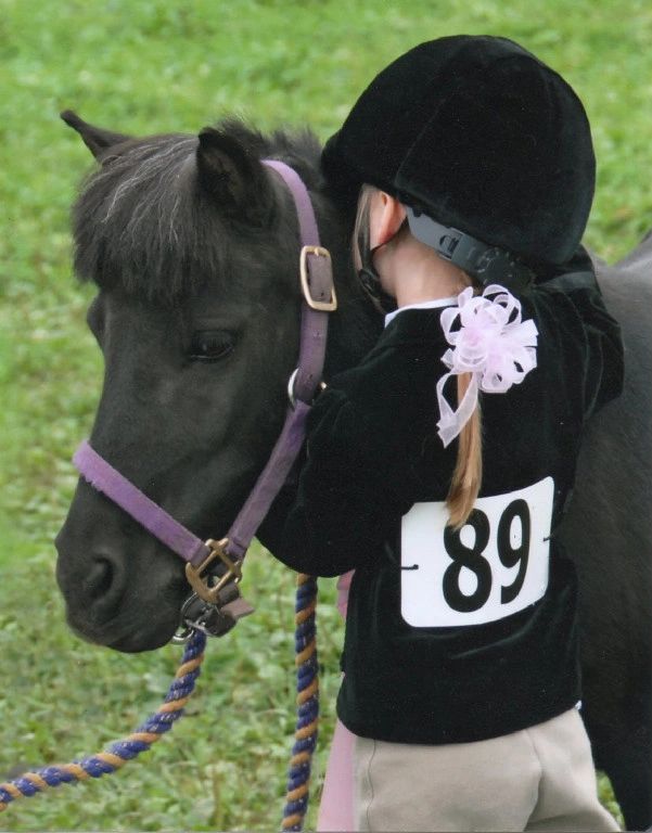 Home Page [www.brookfieldstablesny.com]