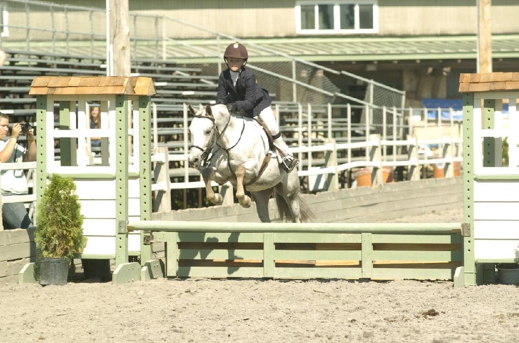 Home Page [www.brookfieldstablesny.com]