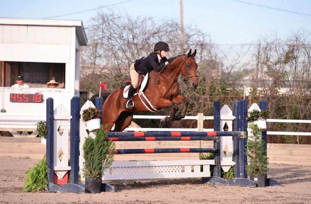 Home Page [www.brookfieldstablesny.com]