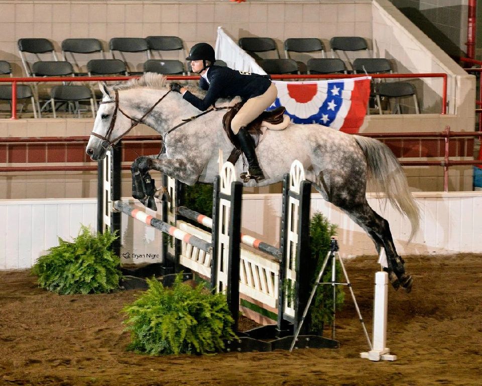 Home Page [www.brookfieldstablesny.com]