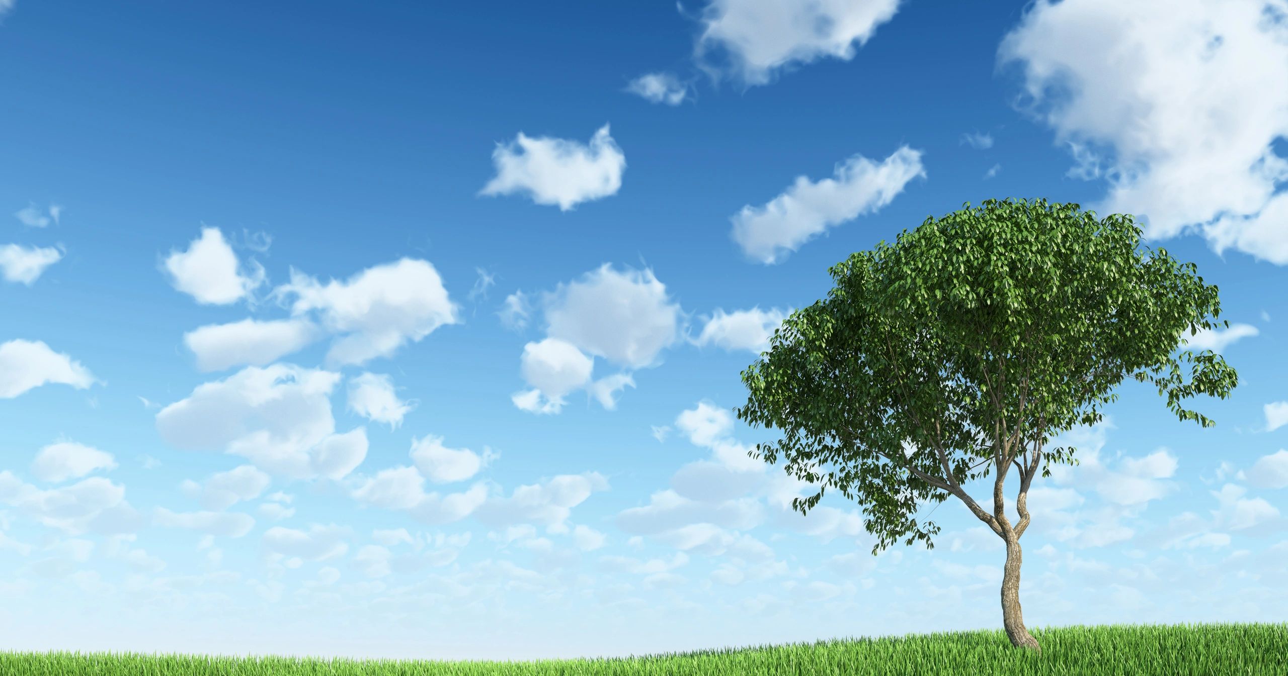 New Energy Eor Ccus Noven