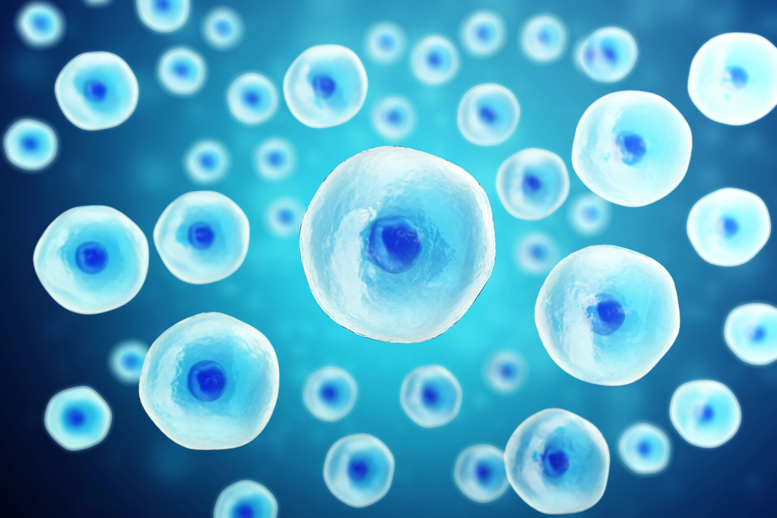 Enhancing Cell Membrane Health and Boosting Phase Angle