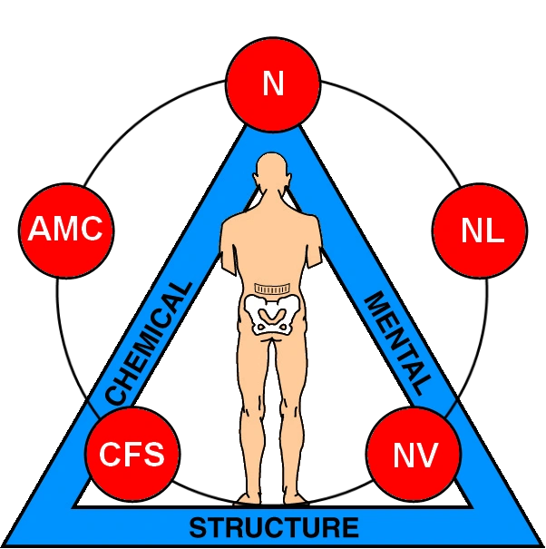 What is Applied Kinesiology?