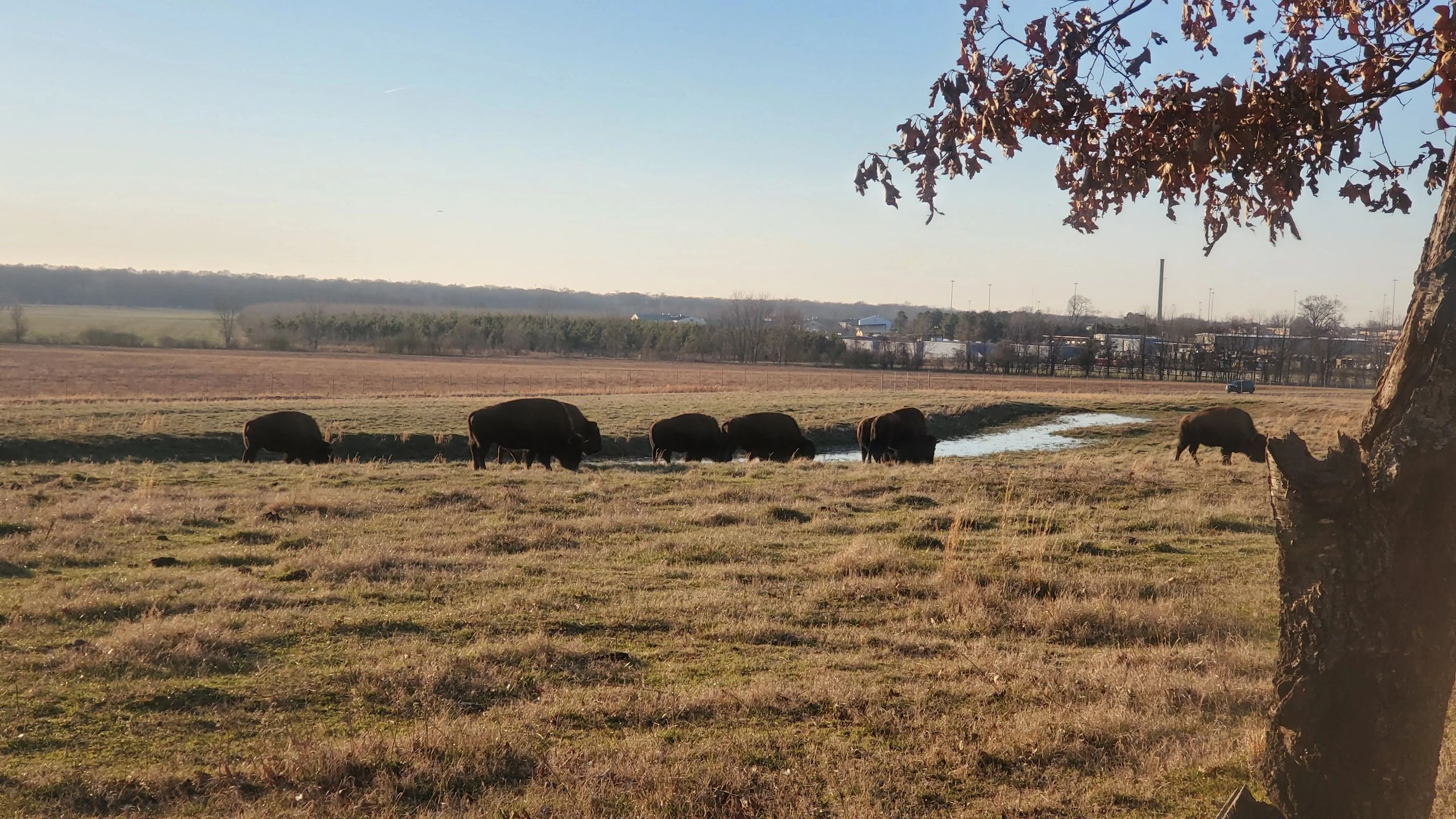Celebrate National Get Outside Day!