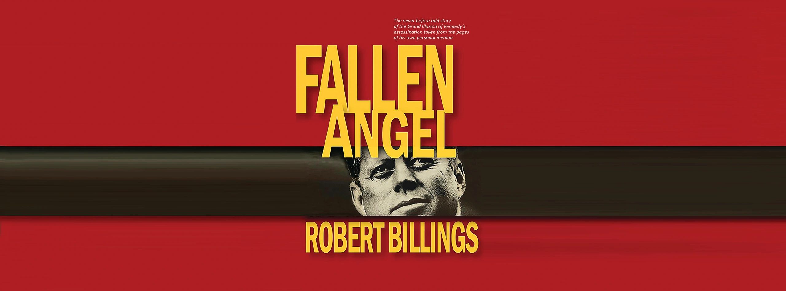 Fallen Angel Novel - Murder Mystery, Kennedy Assassination