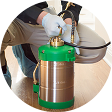 Mantis Pest Control - Pest Control - Winnemucca, Nevada | Mantis Pest ...