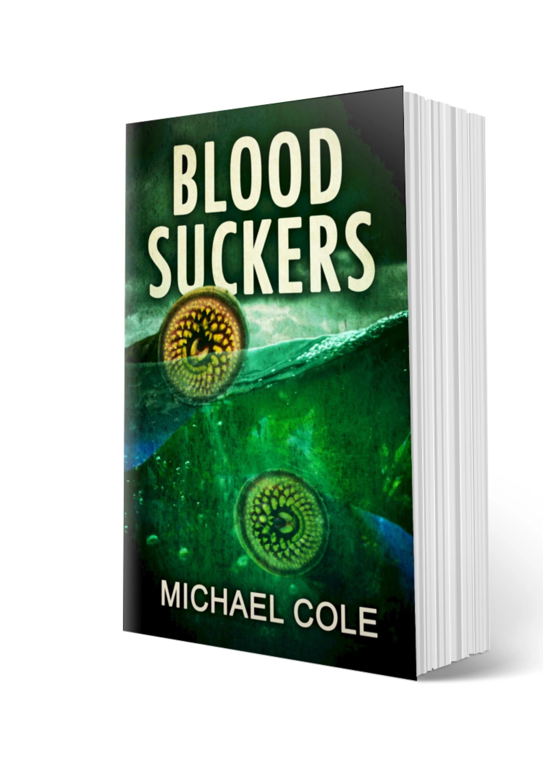 Author Michael Cole’s Debut Novel with Raven Tale