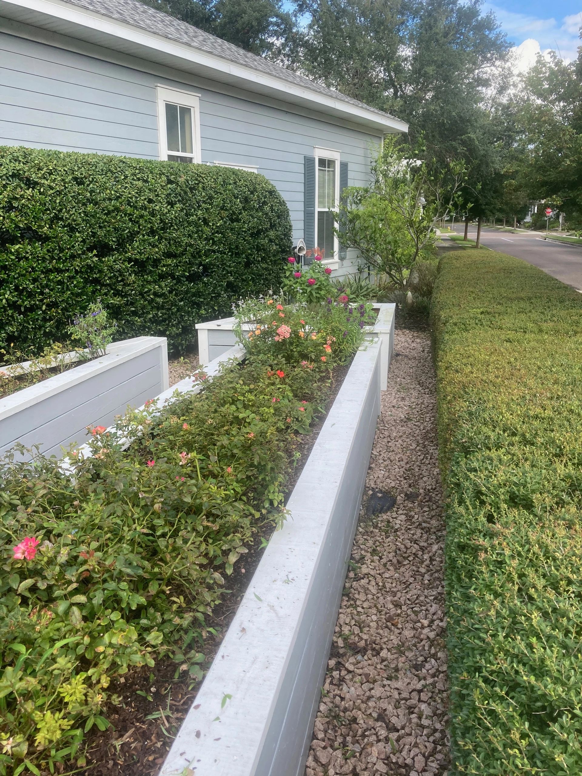 Jose's Landscaping & Lawn Care - Lawn Care, Landscaping