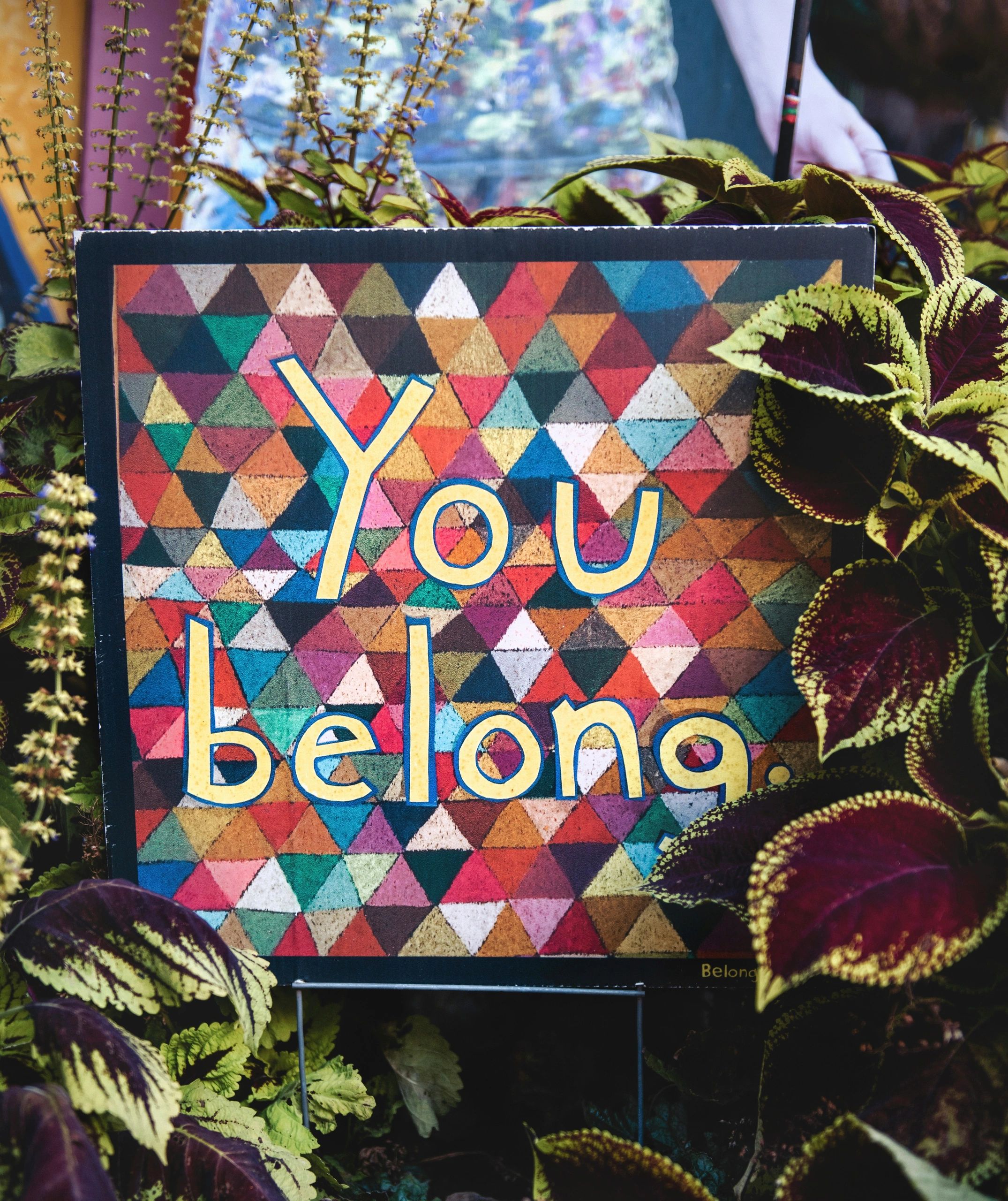 Belonging: The Journey Home to Ourselves