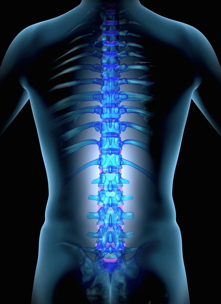 MANGI Chiropractic & Acupuncture