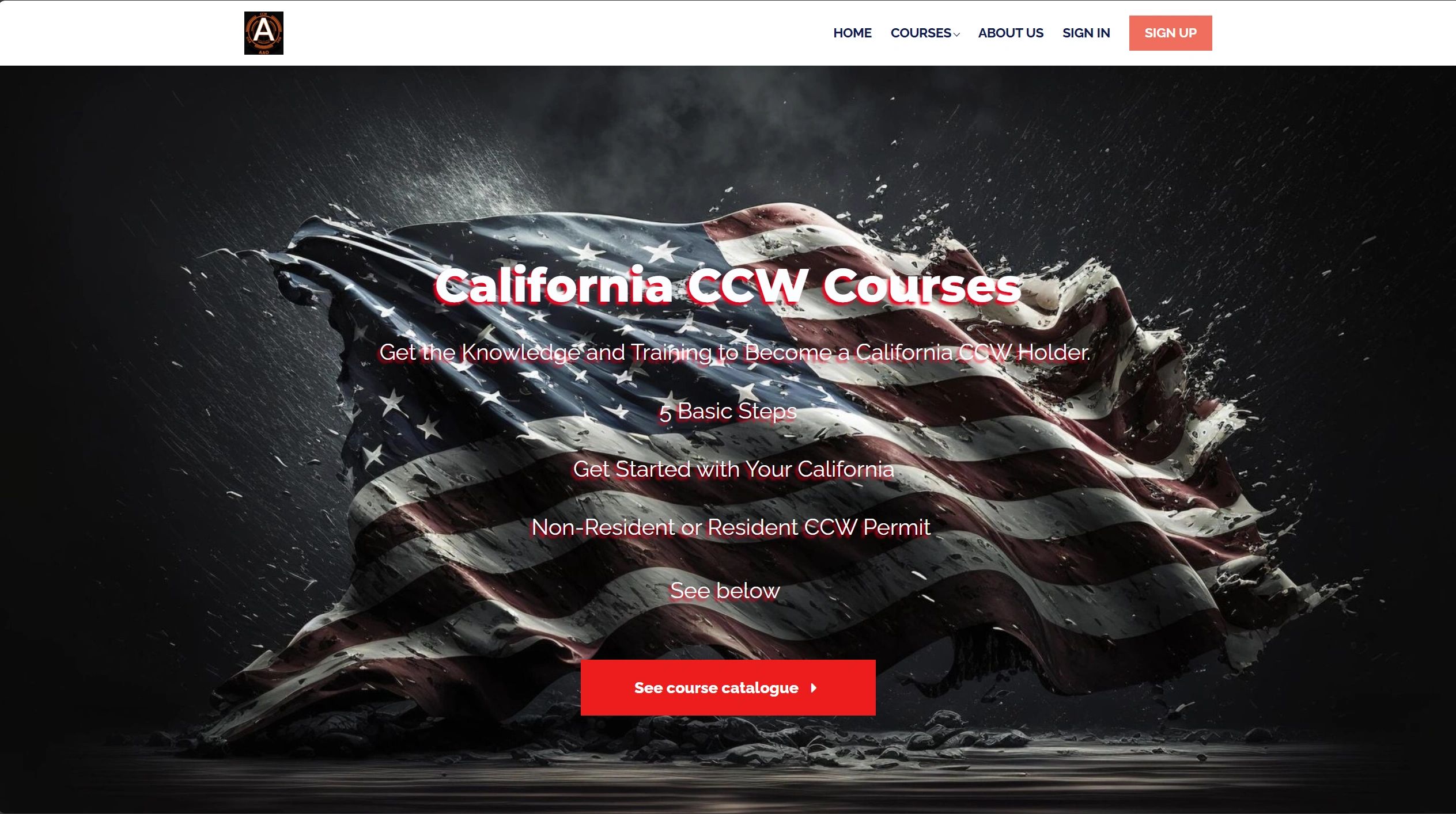 Online CCW Training is Now Available!
