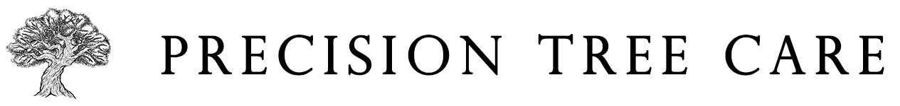 Precision Tree Care