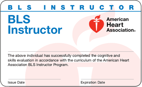 VIRTUAL OR CLASS ROOM AMERICAN HEART ASSOCIATION BLS Instructor ...