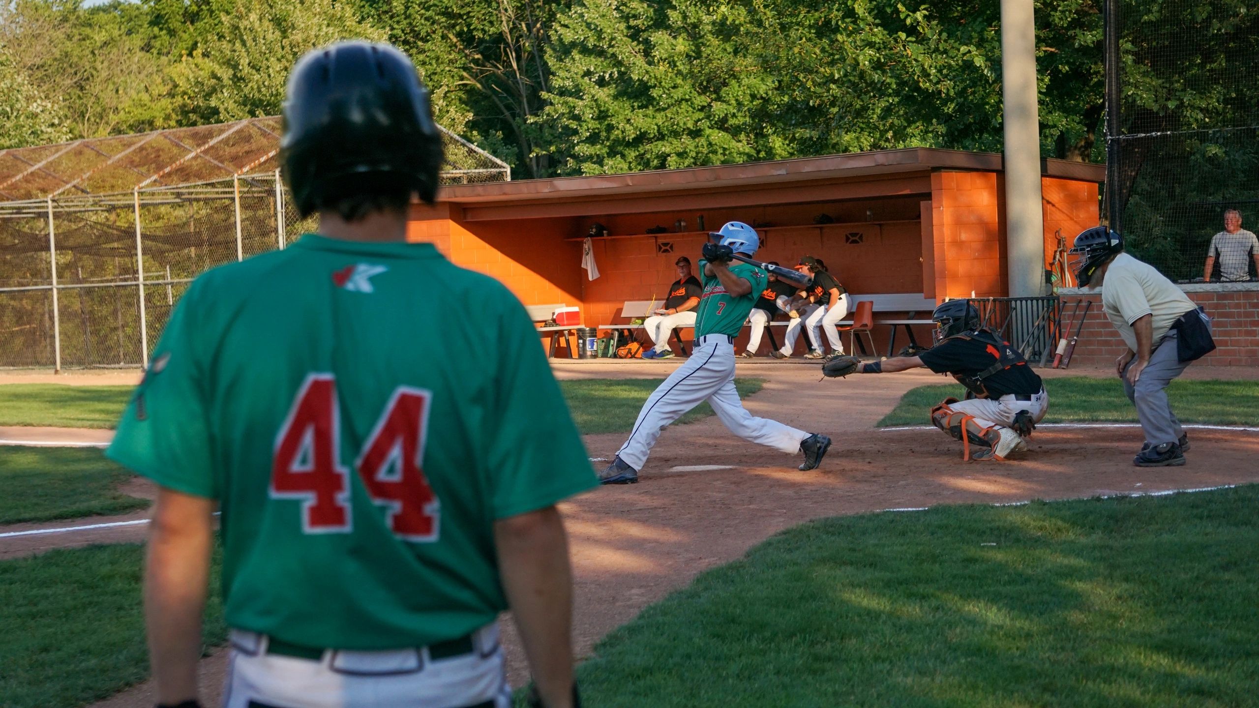 River Canard Mallards