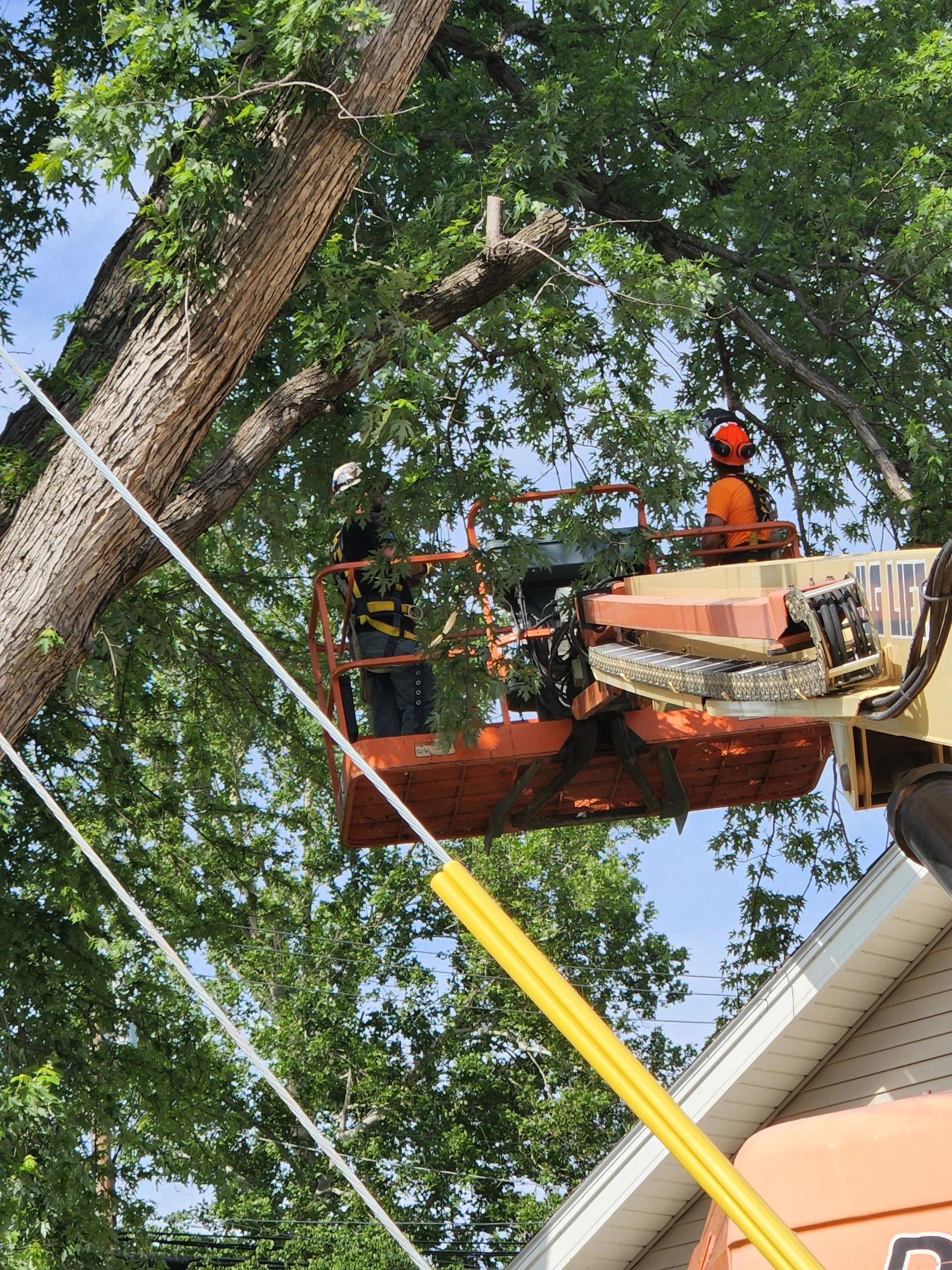 Topple Tree Service & Snow Removal L.L.C