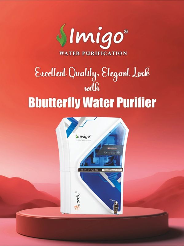 About Us | Imigo World