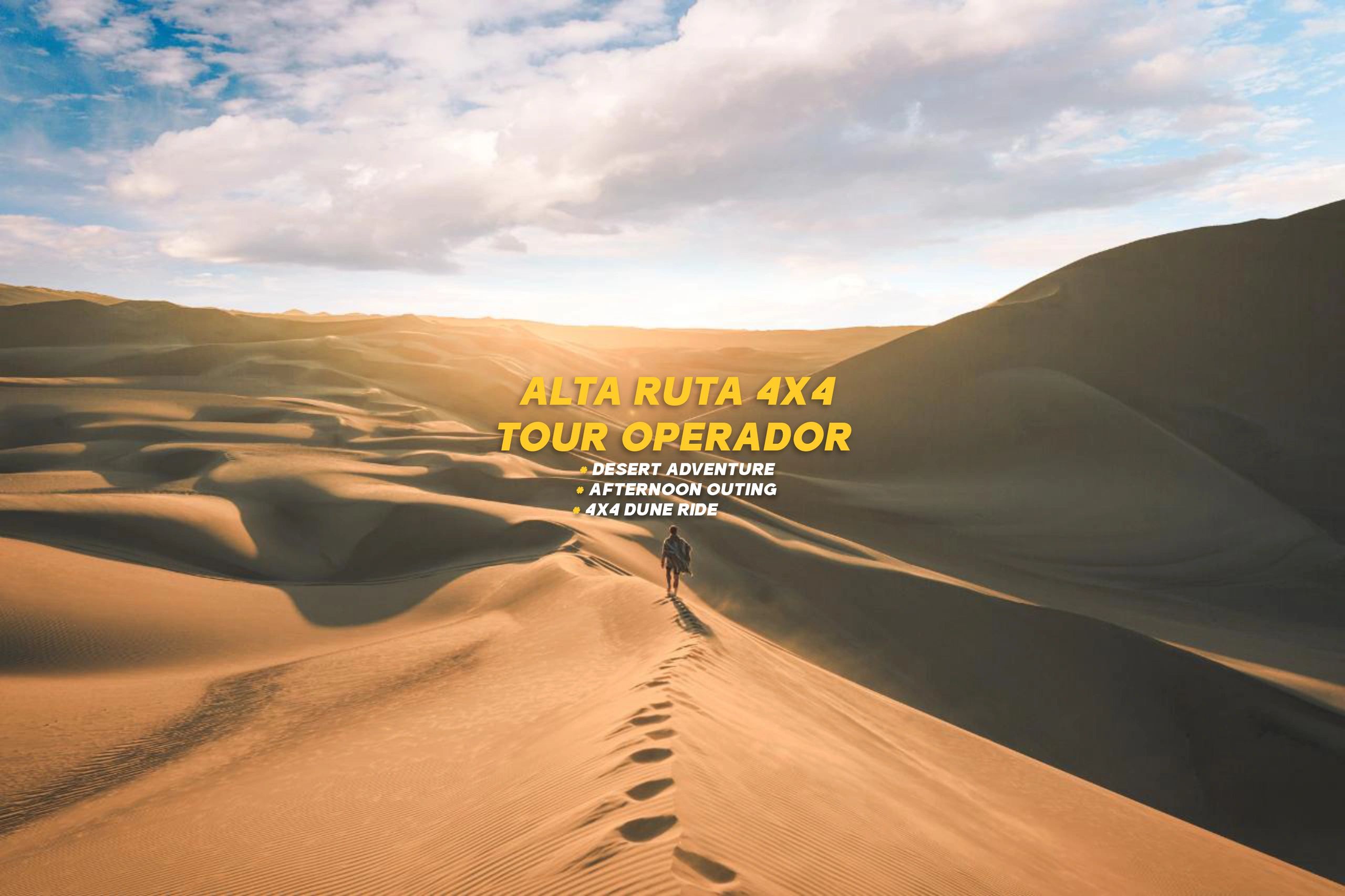 DUNAS Y PLAYAS DE ICA