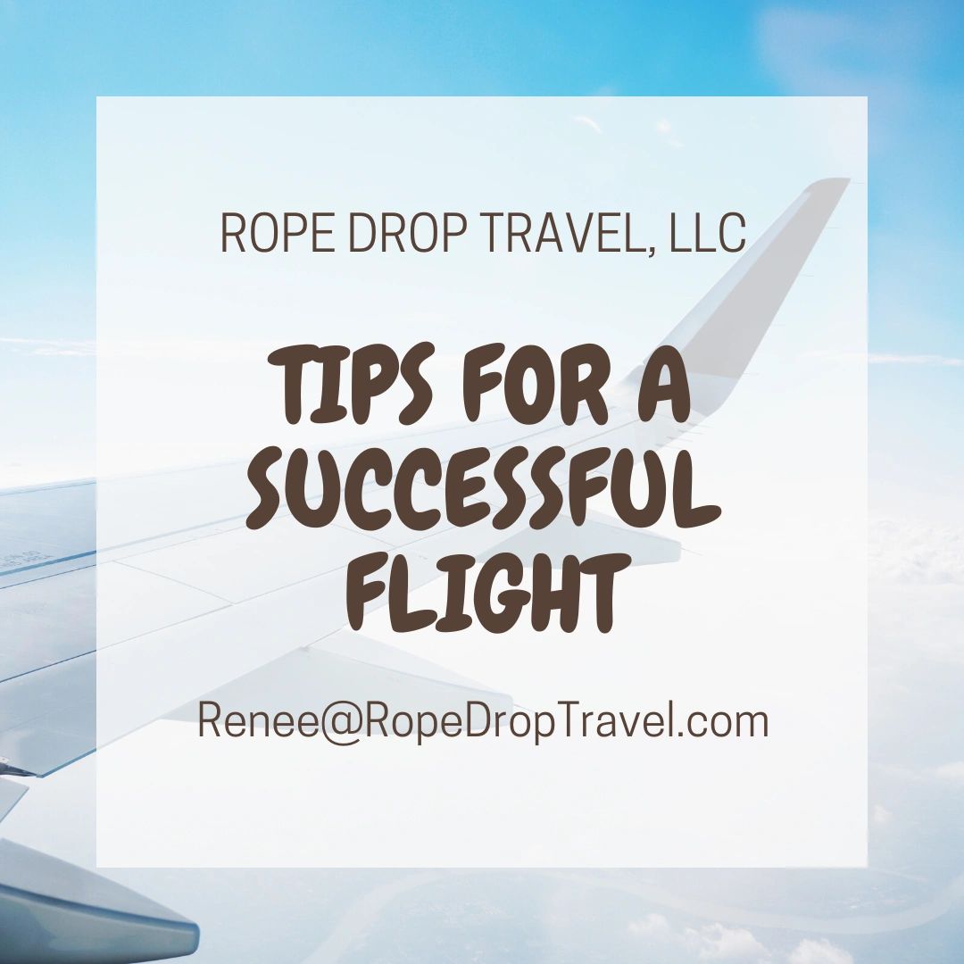Successful Flight Tips For Your Next Vacation
