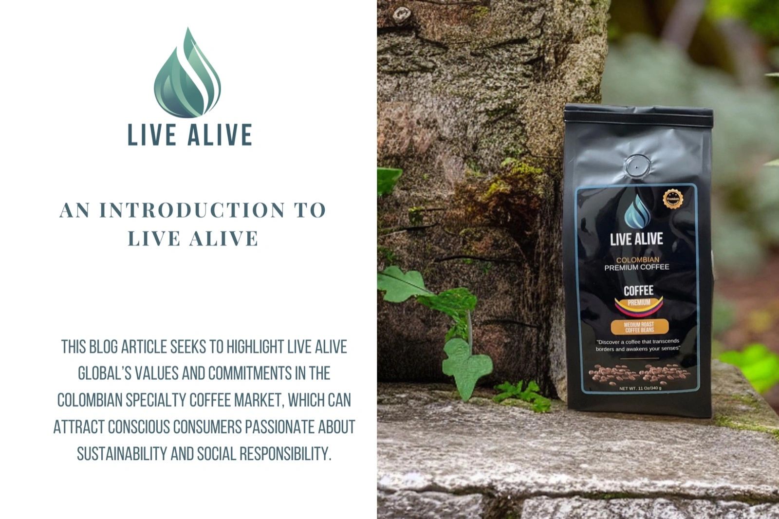 An Introduction to Live Alive