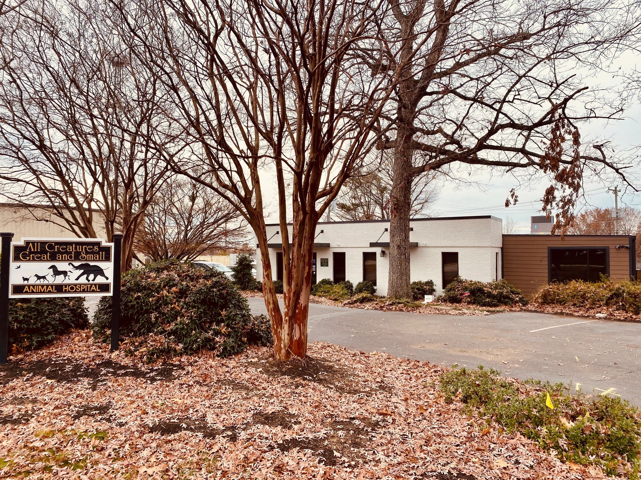 Veterinarian - All Creatures Great and Small Animal Hospital