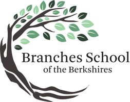 Branches School of the Berkshires - Autism Spectrum Disorder School
