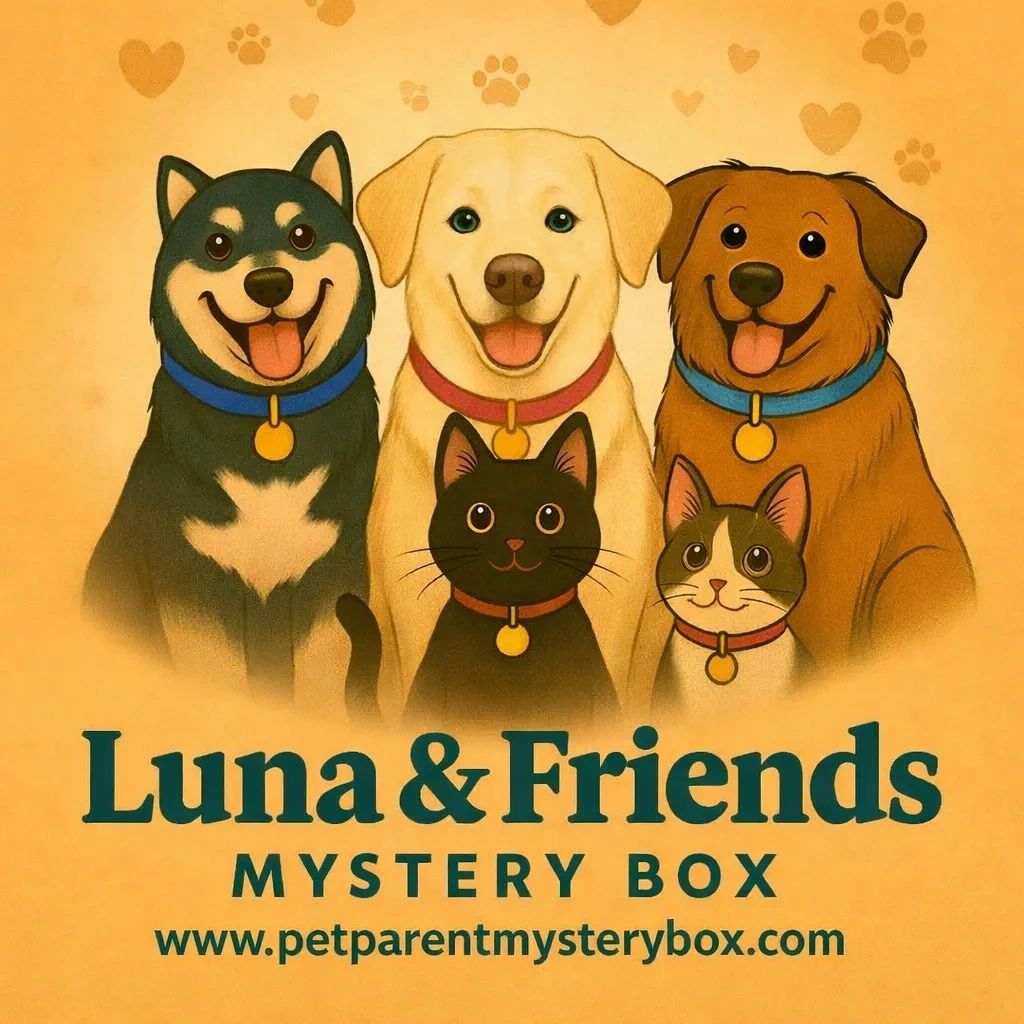 Luna & Friends Mystery Box