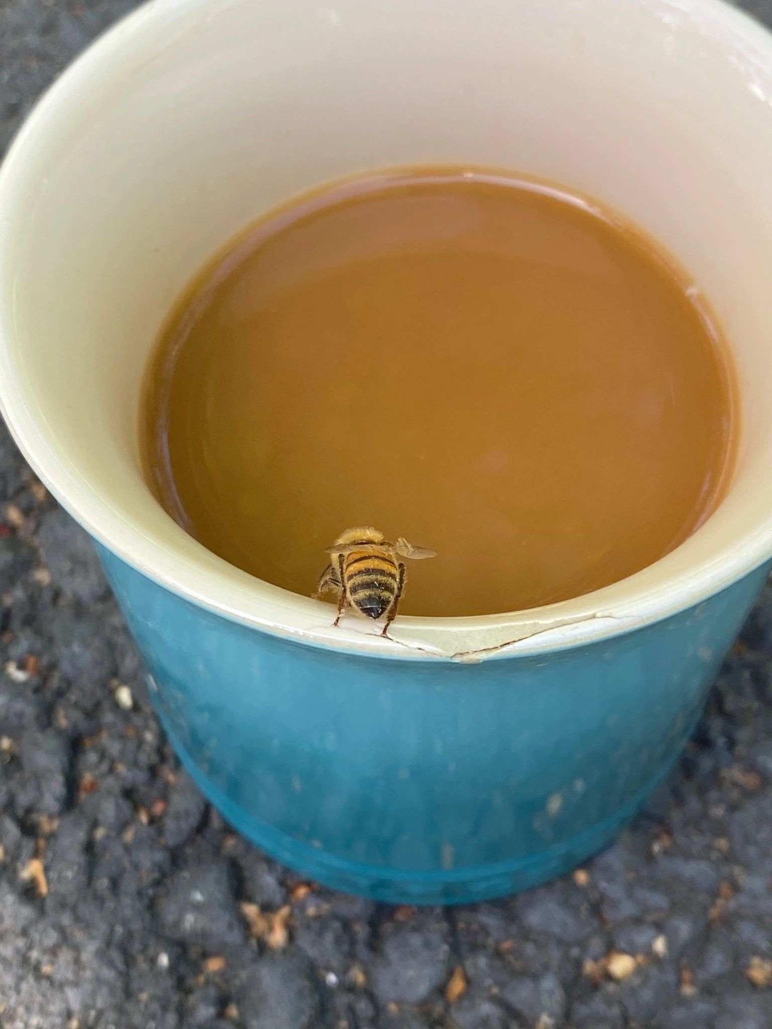 February and your hives...