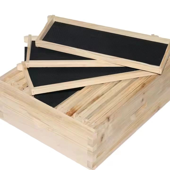 Medium 10 Frame Super Langstroth Hive Box & Frames Combo