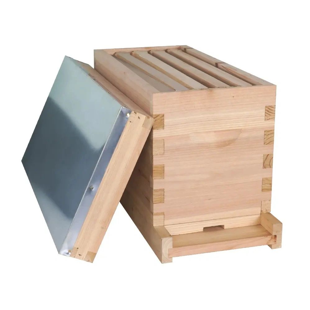 5-Frame Deep Nuc Box & Frames Combo