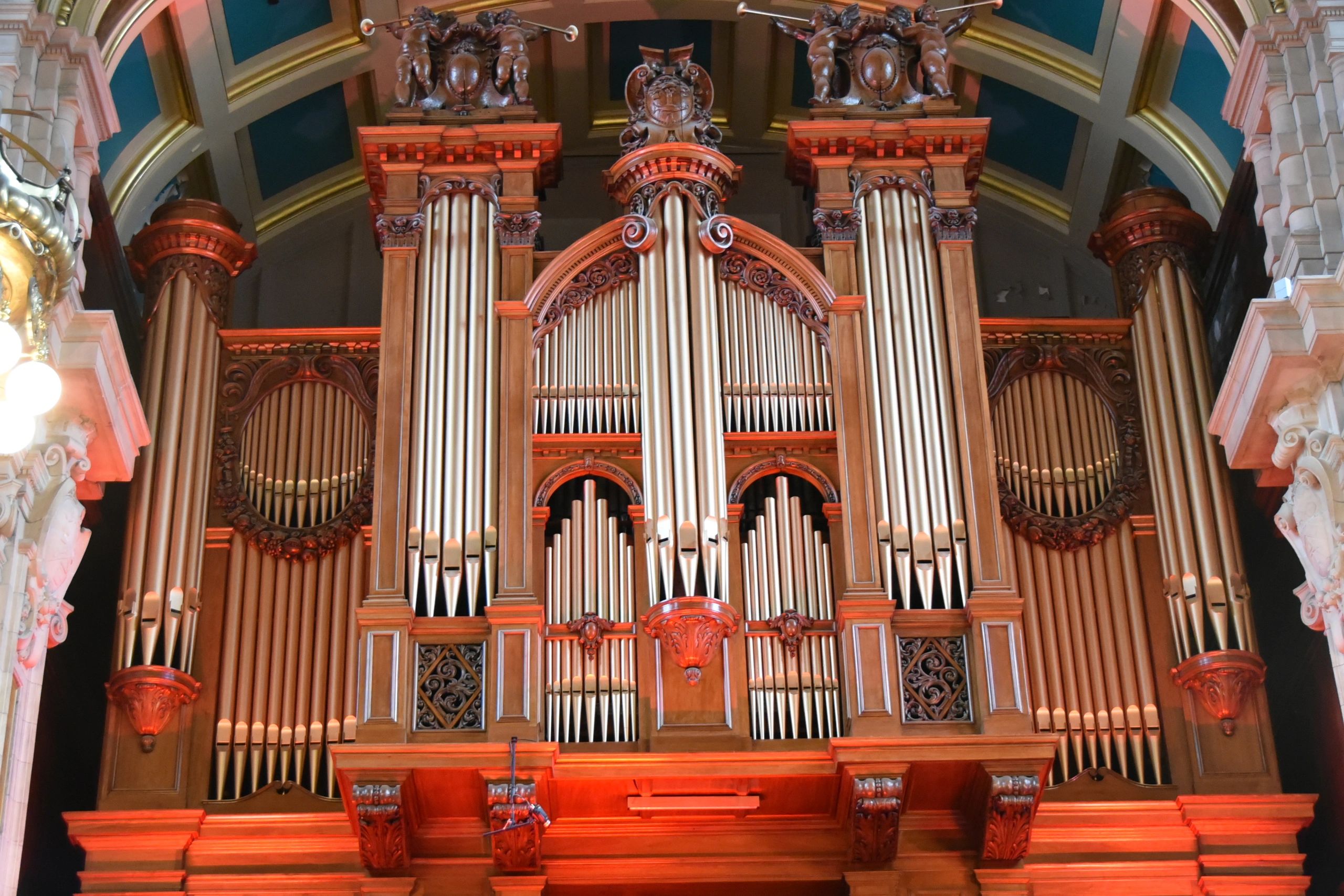 Organ Odyssey