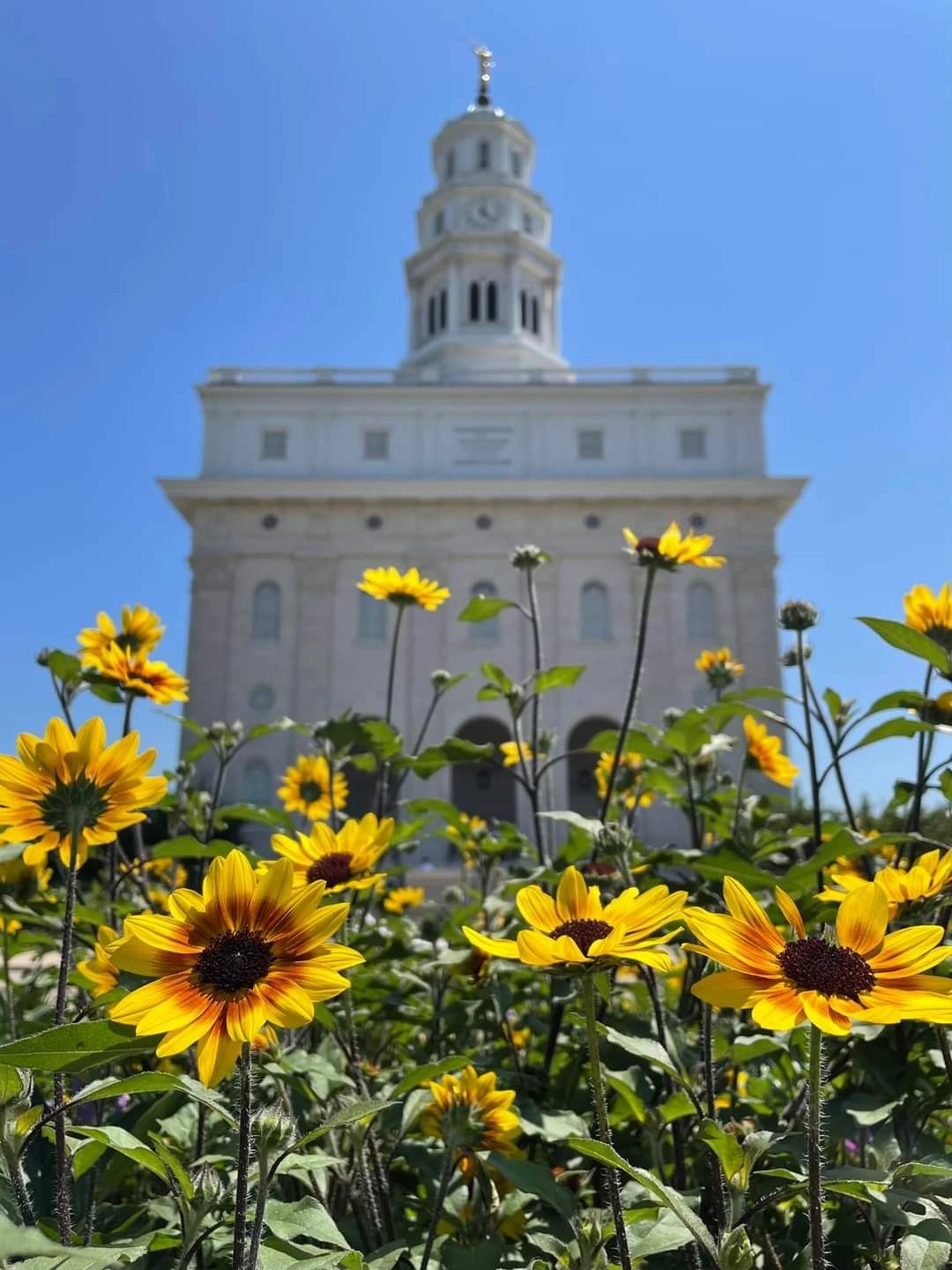 LDS Church History Tours - SAUNDERS Tours