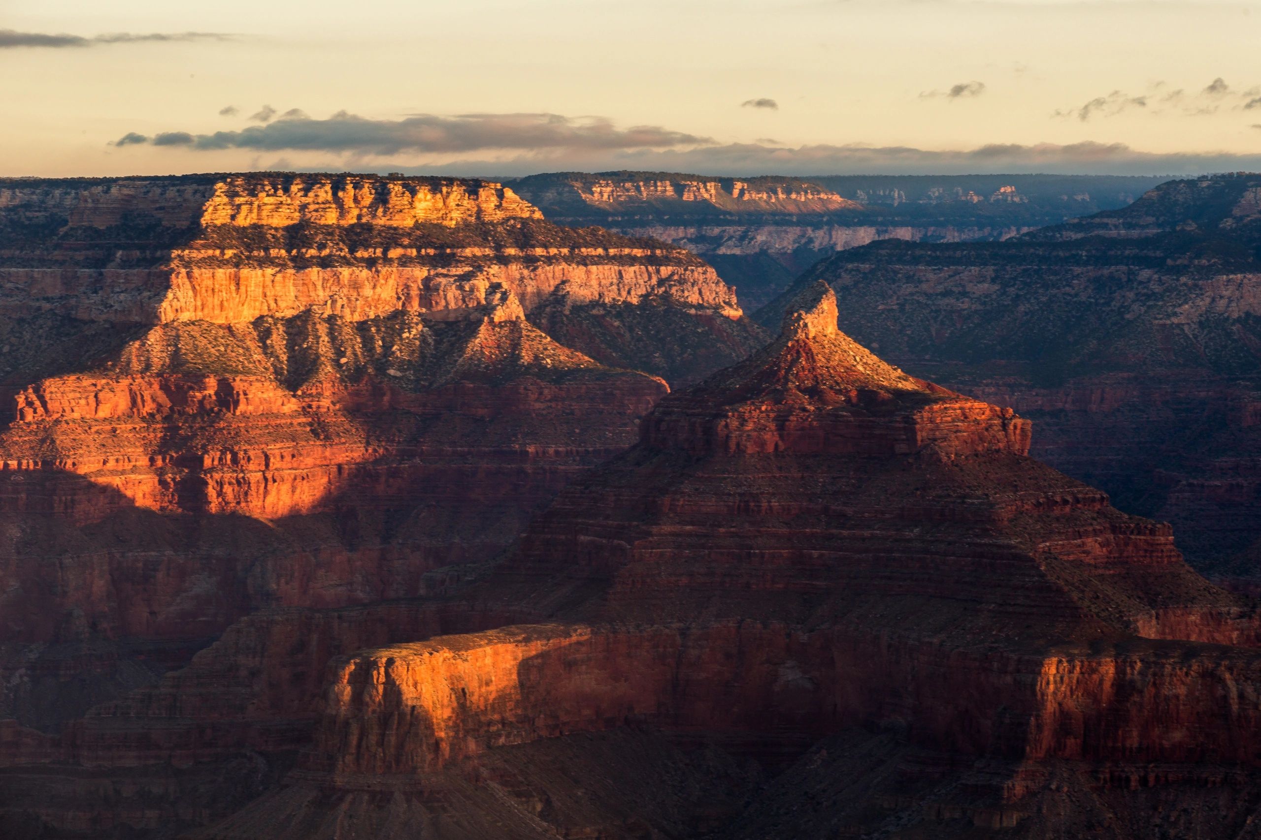 Grand Canyon Notary