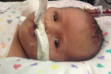 Arianna's CDH Foundation