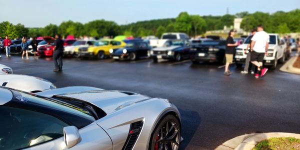Harambe Memorial Bridge