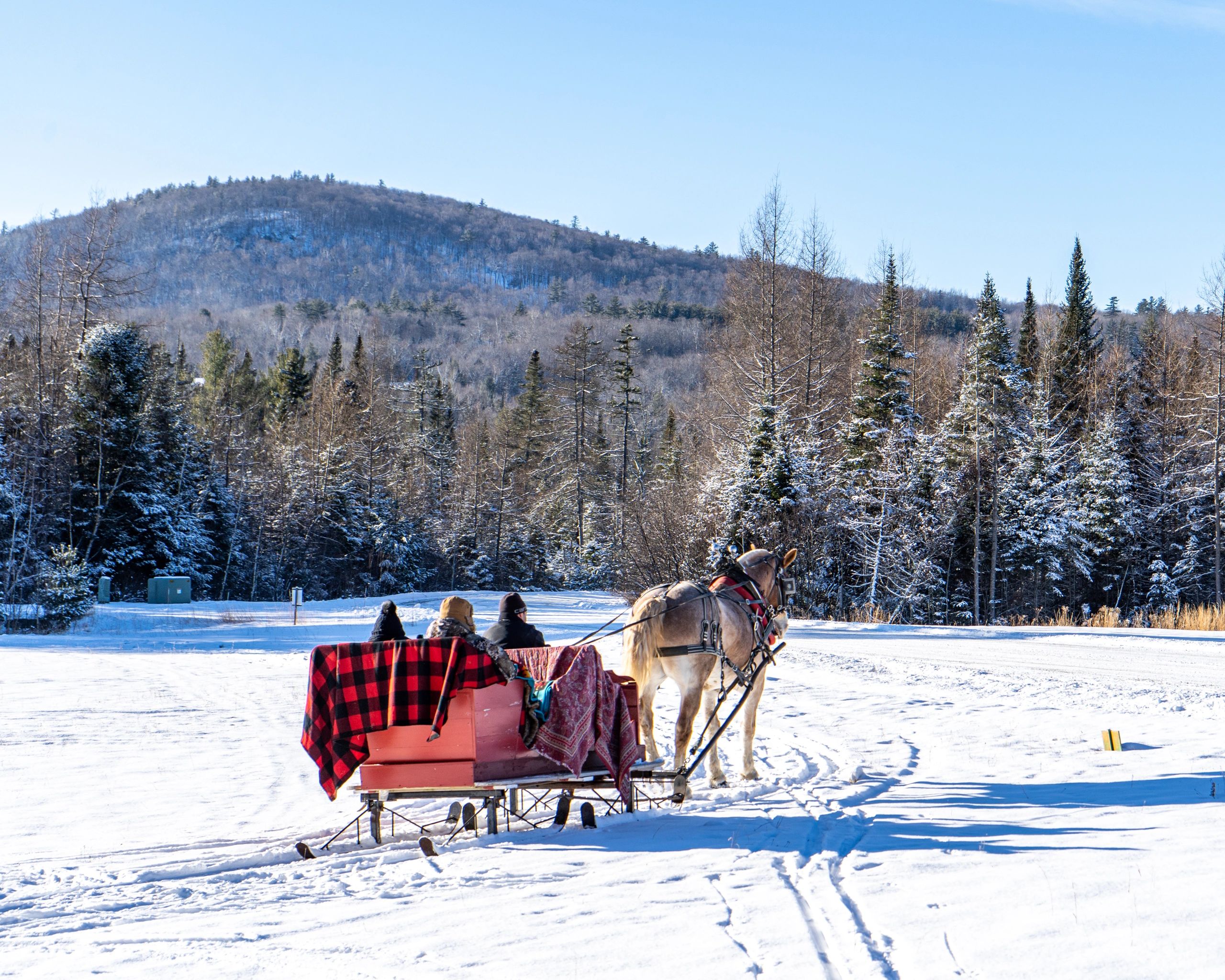Winter Sleigh Rides
