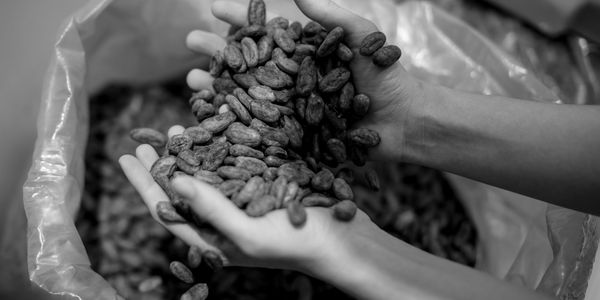 LaBarr Chocolate de Origem - Chocolate, Café