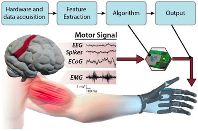 Neuro Prosthetics and BMI | SINAPSE