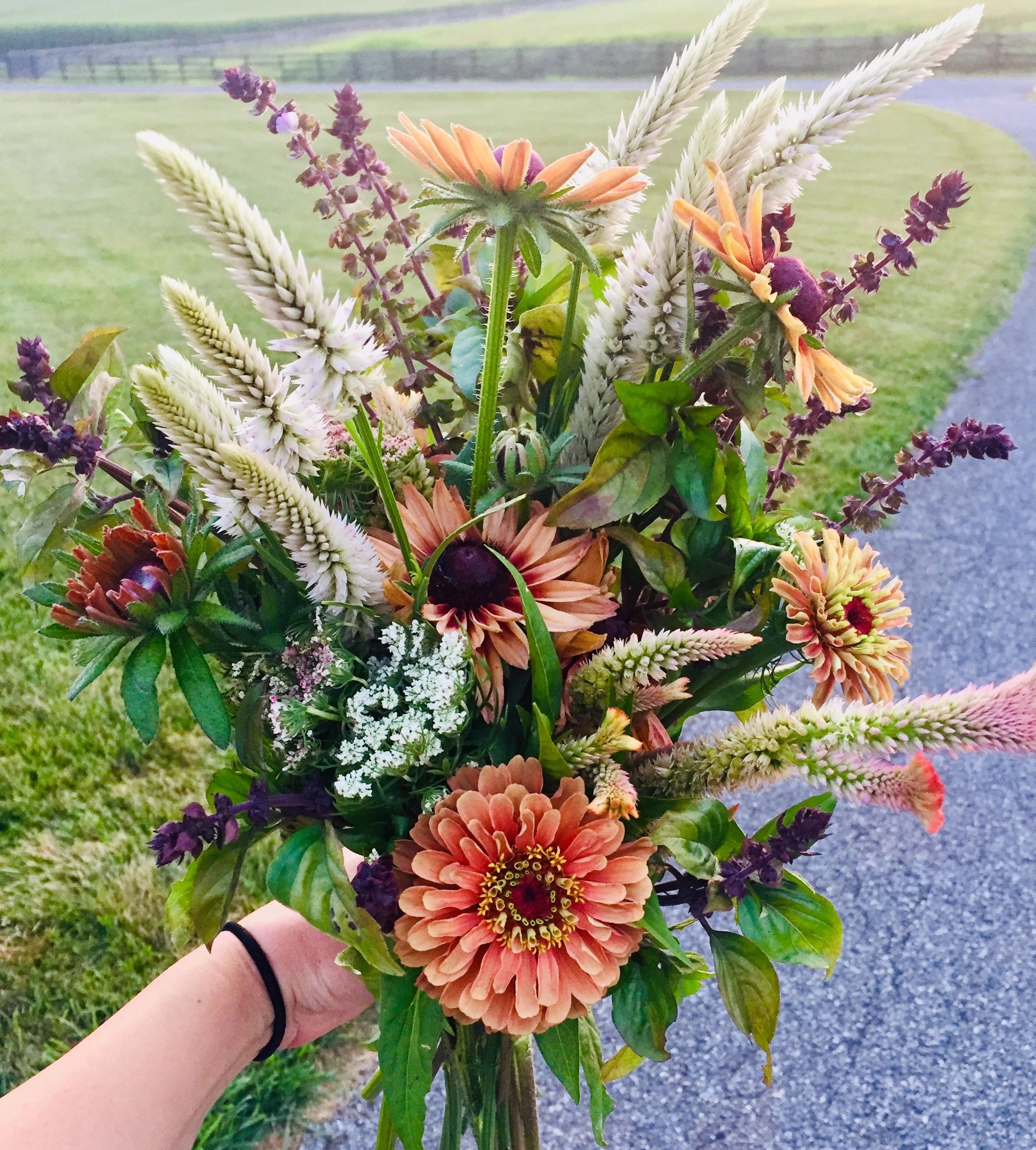 Pink Moon Bloom Farm