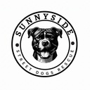 Find Your Forever Friend at Sunnyside Street Dogs