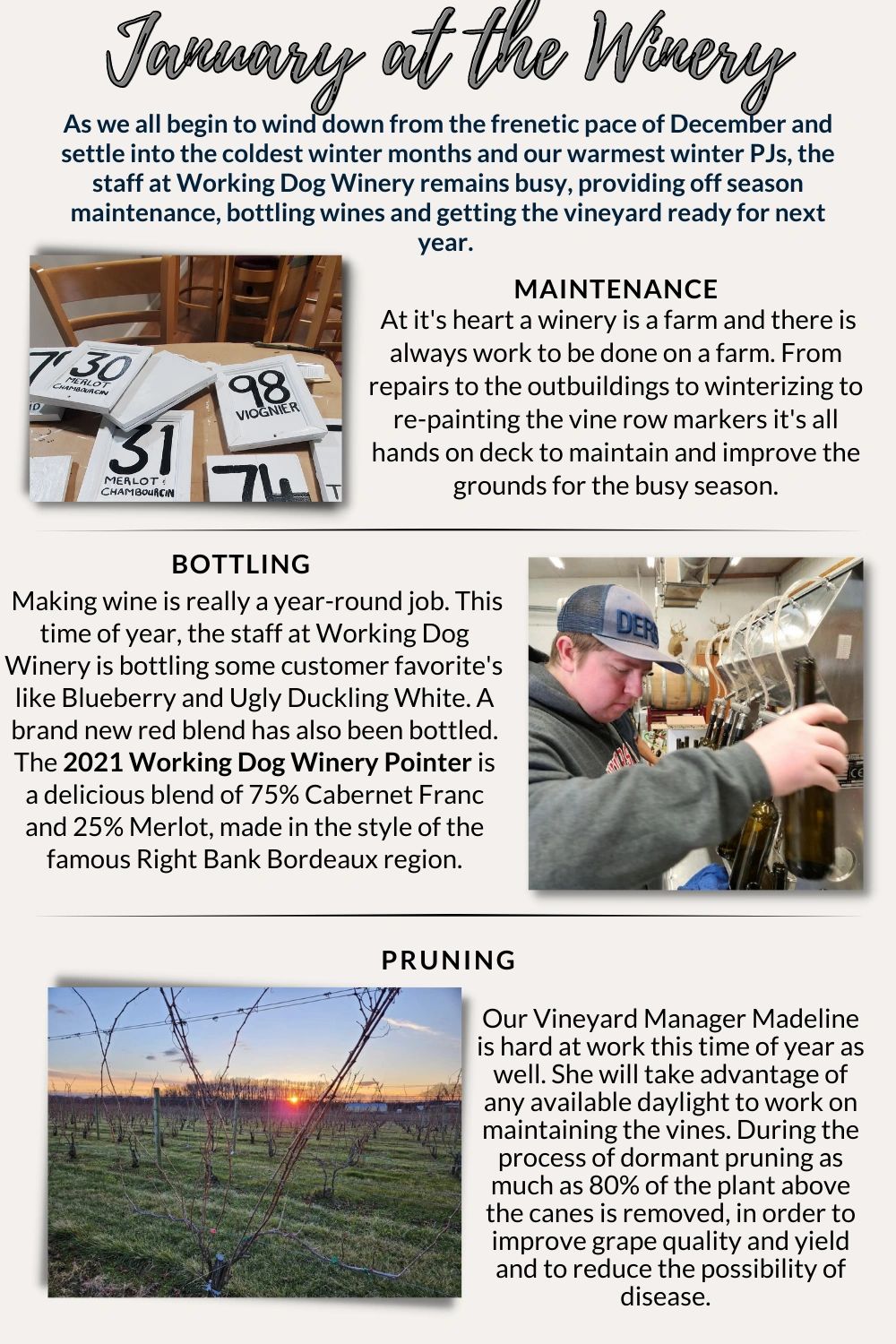 January at the Winery