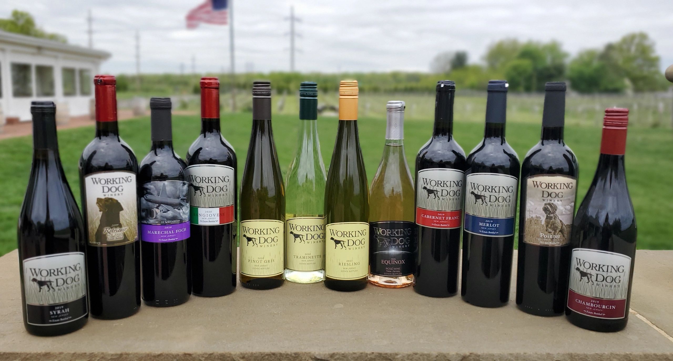 Ludwig and Kyle Fam Bios