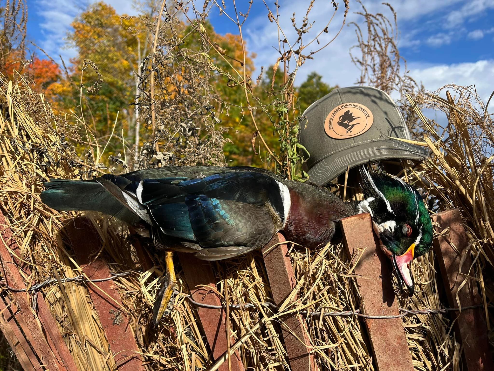 Finger Lakes Hunting Service