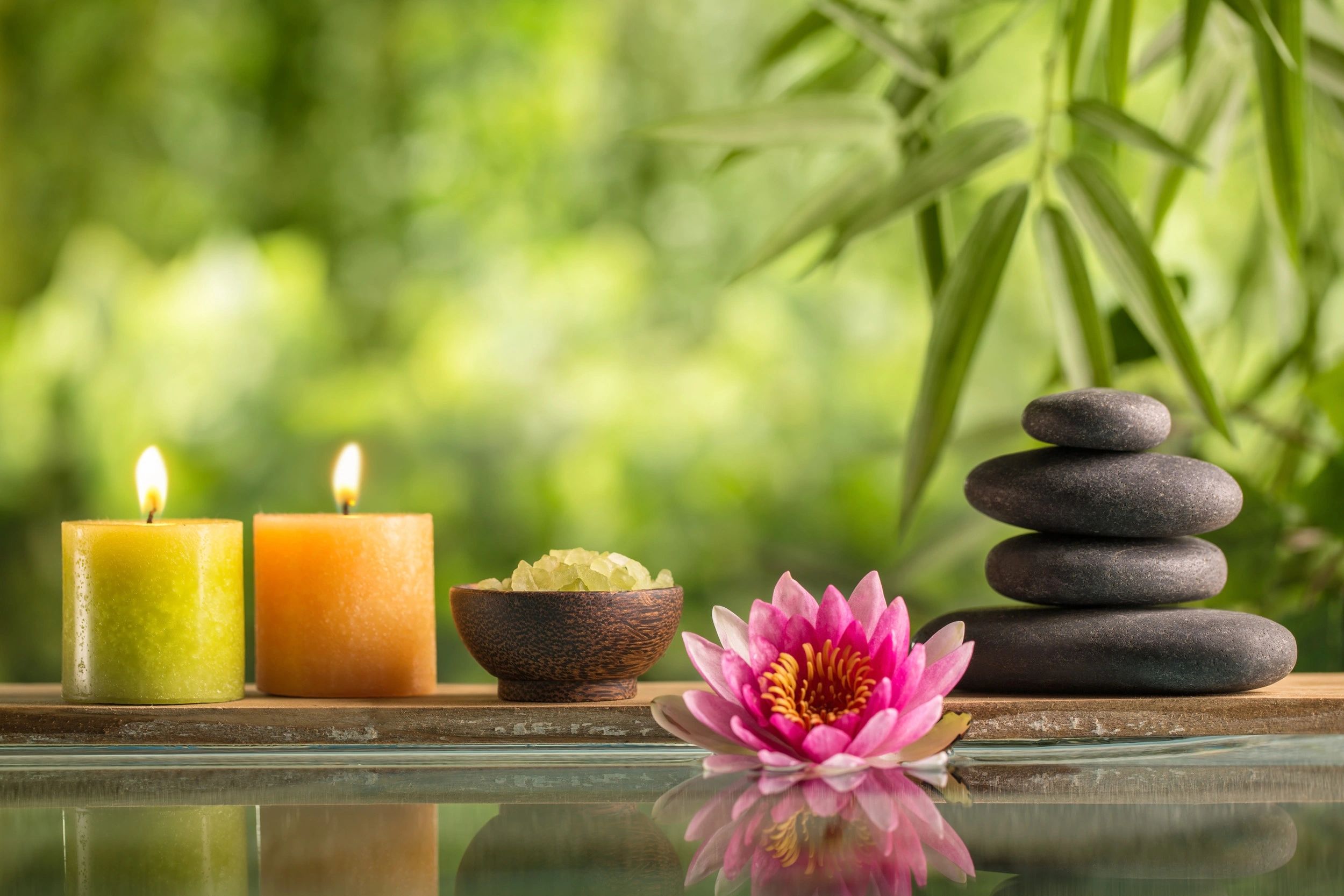 Holistic Wellness & Health