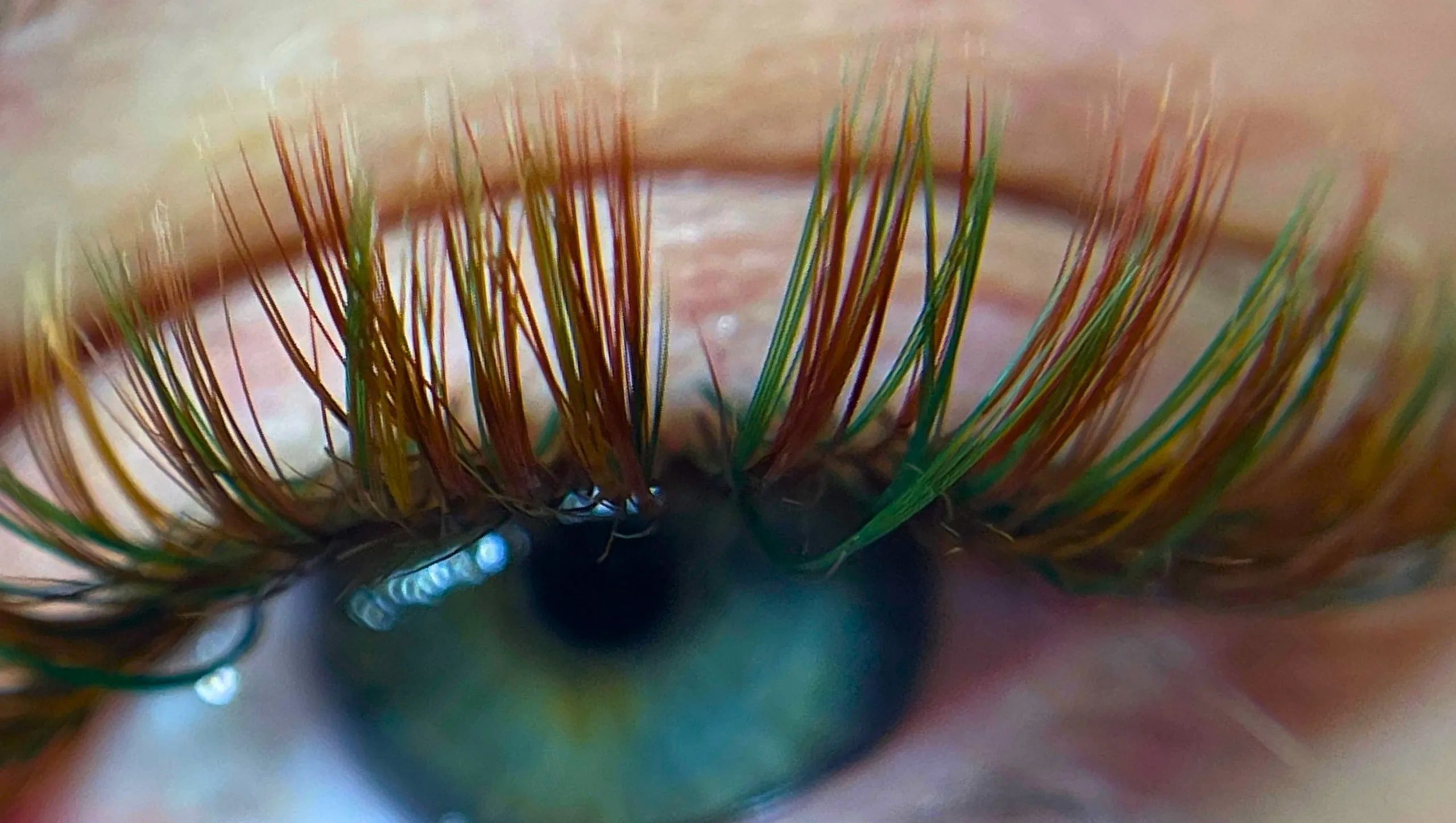 Lash Extensions | Wallflower Esthetics