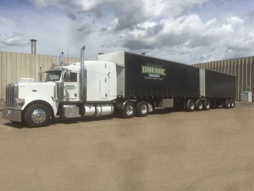 Bremic Carriers Inc.